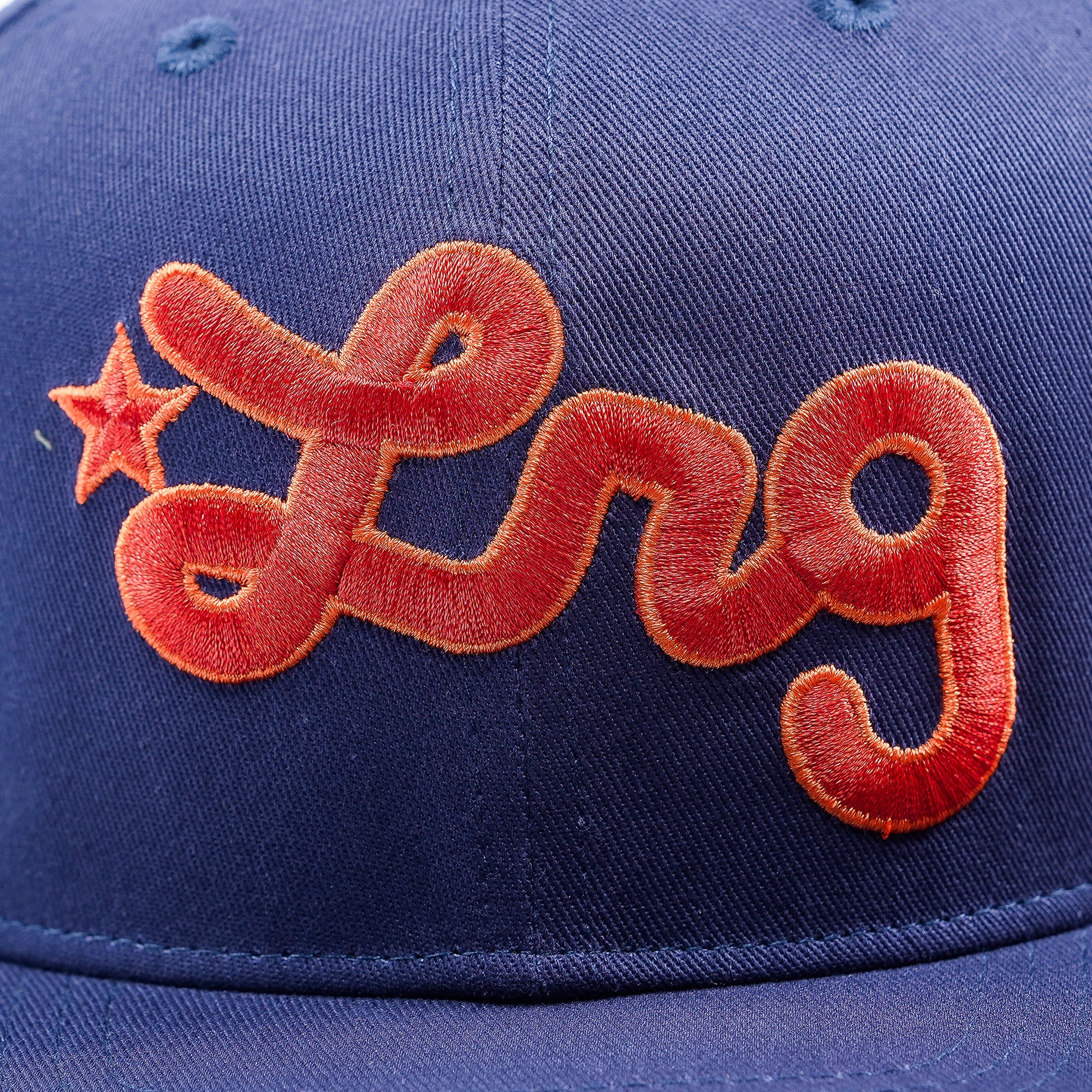 Sidetree Snapback Navy | LRG Clothing