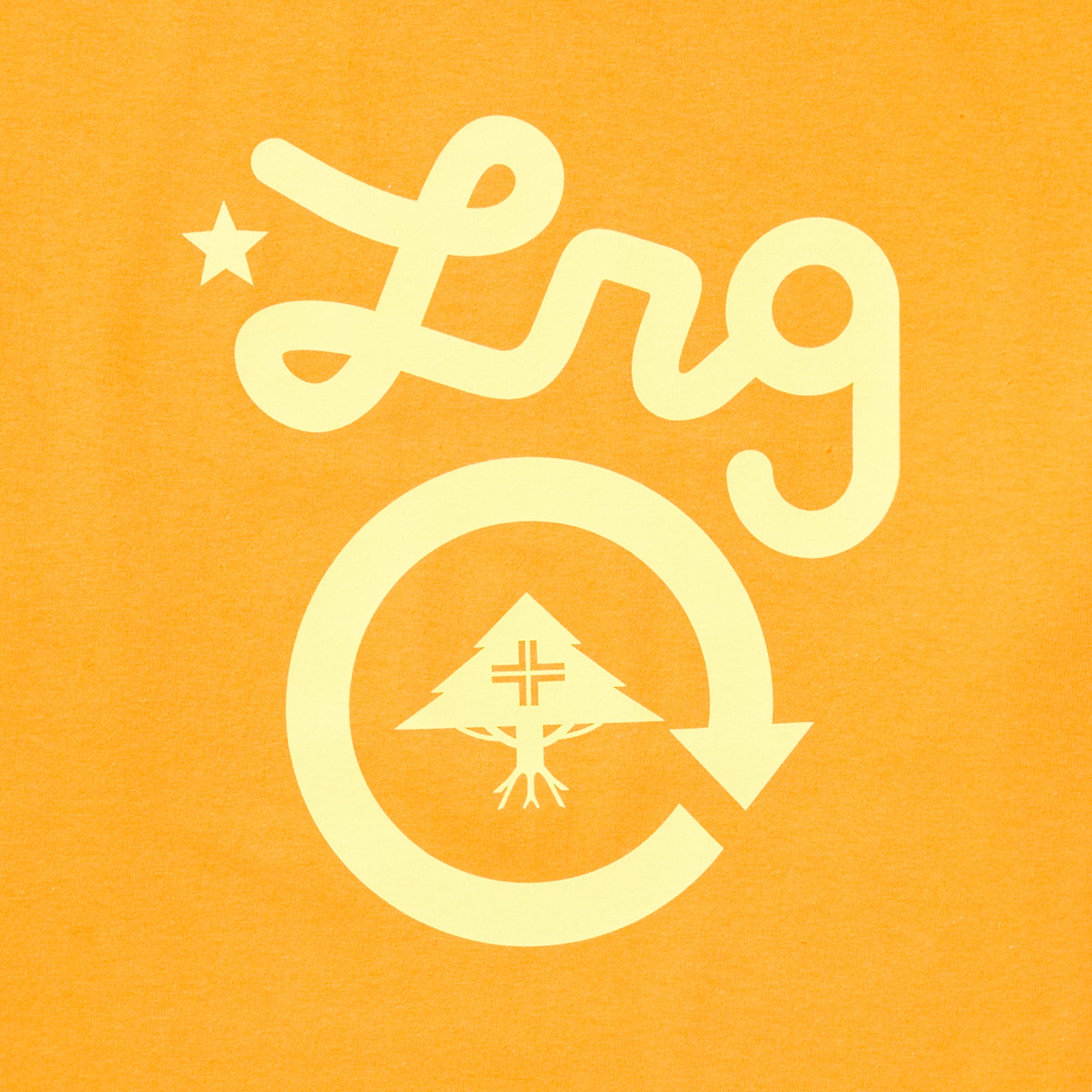 Lrg Logo